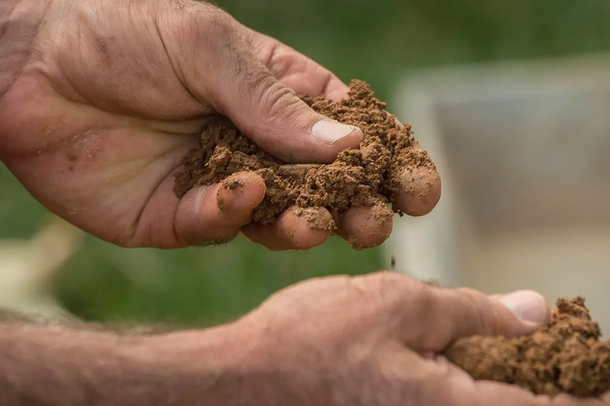 Soil Properties - Gulf Coast Gardening
